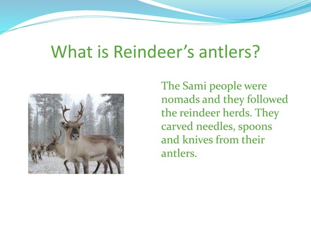 The sami people | PPTX