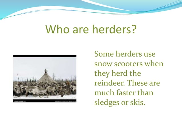 The sami people | PPTX