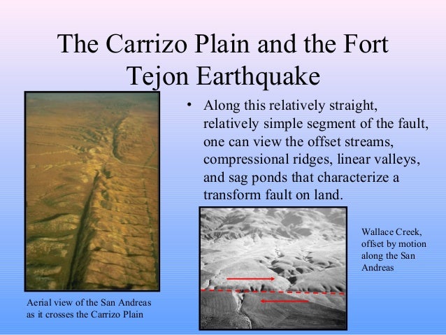The san andreas fault system