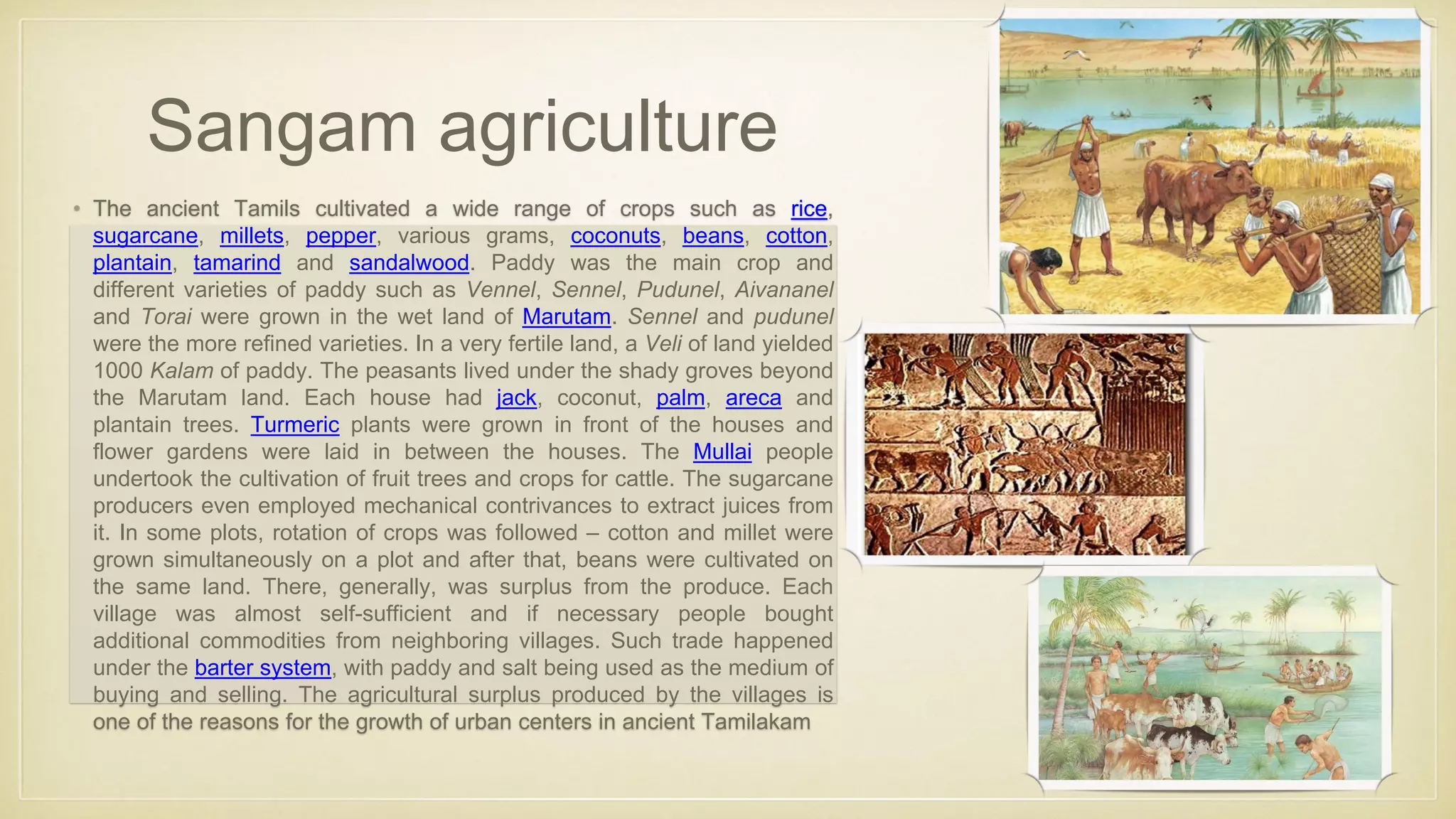 The Sangam Age | PPTX