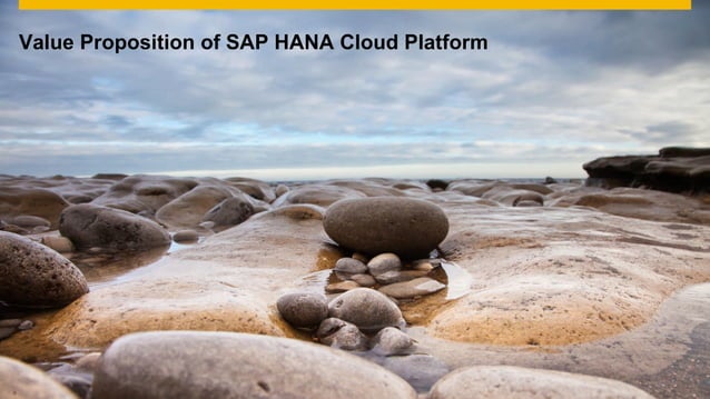 The SAP Hana Cloud platform | PPT