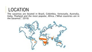 The savanna | PPTX | Africa Travel | Travel Locations