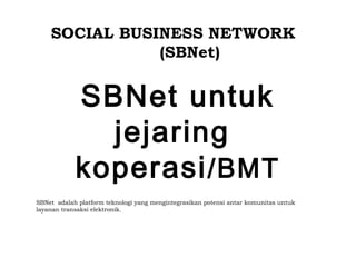 SBNet Finance for Sustainability | PPT