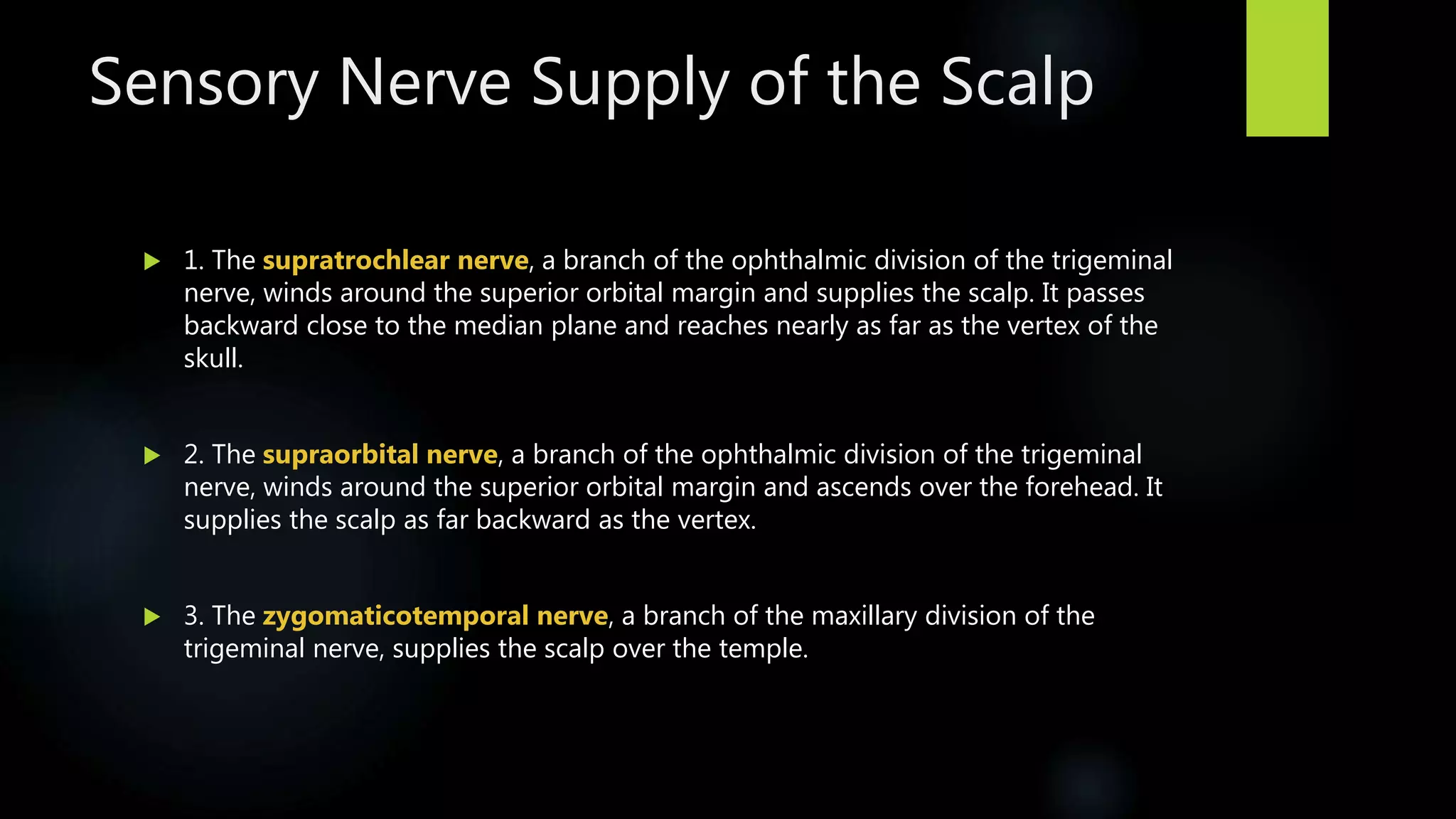 The Scalp.pptx