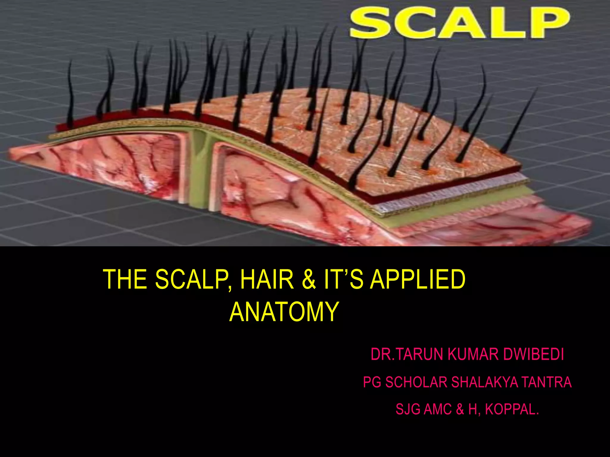 The scalp, hair & its applied anatomy | PPTX