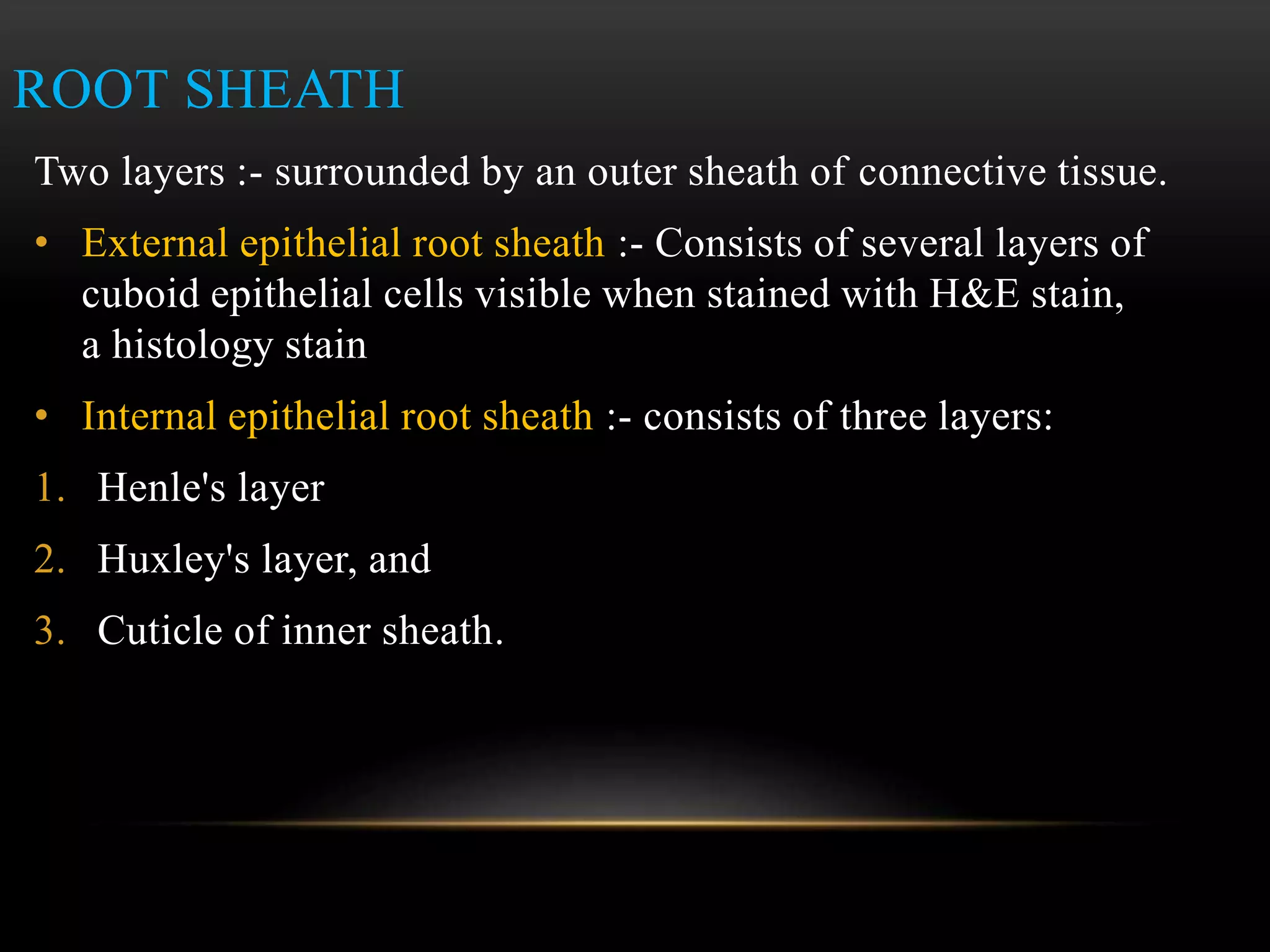 The scalp, hair & its applied anatomy | PPTX