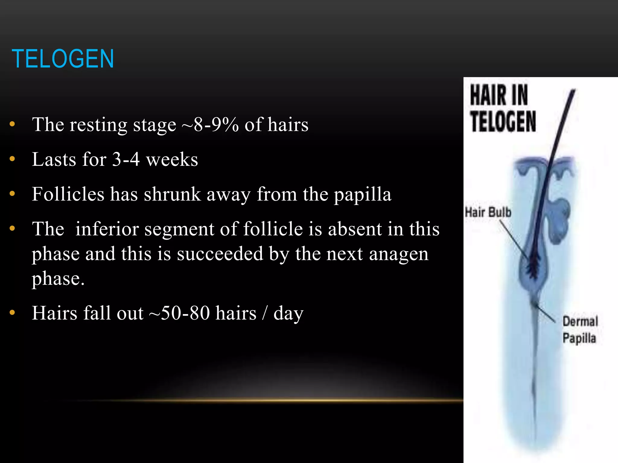 The scalp, hair & its applied anatomy | PPTX