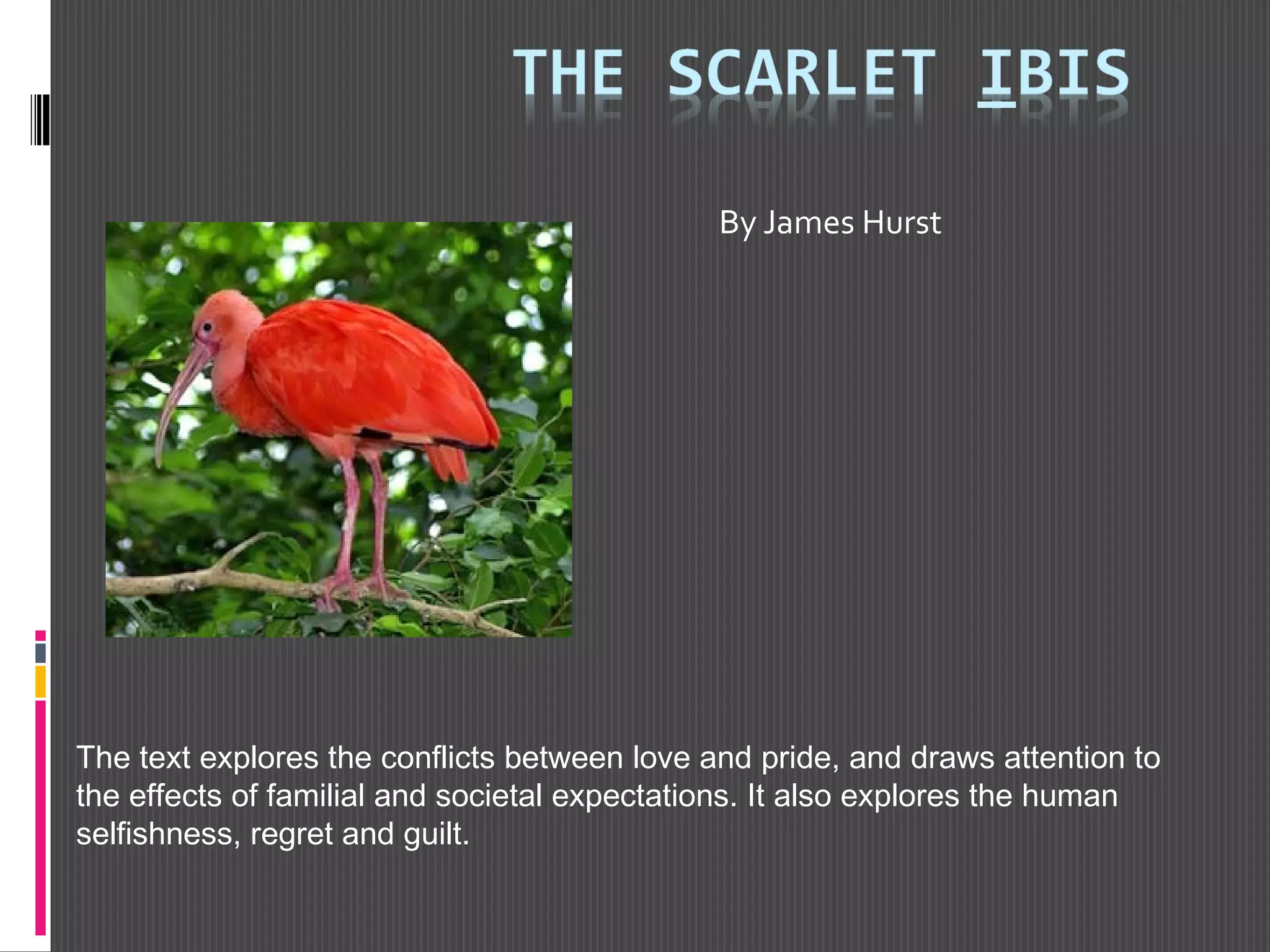The scarlet ibis introductioninlms | PPT