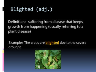 The scarlet ibis vocabulary.ppt | Free Download