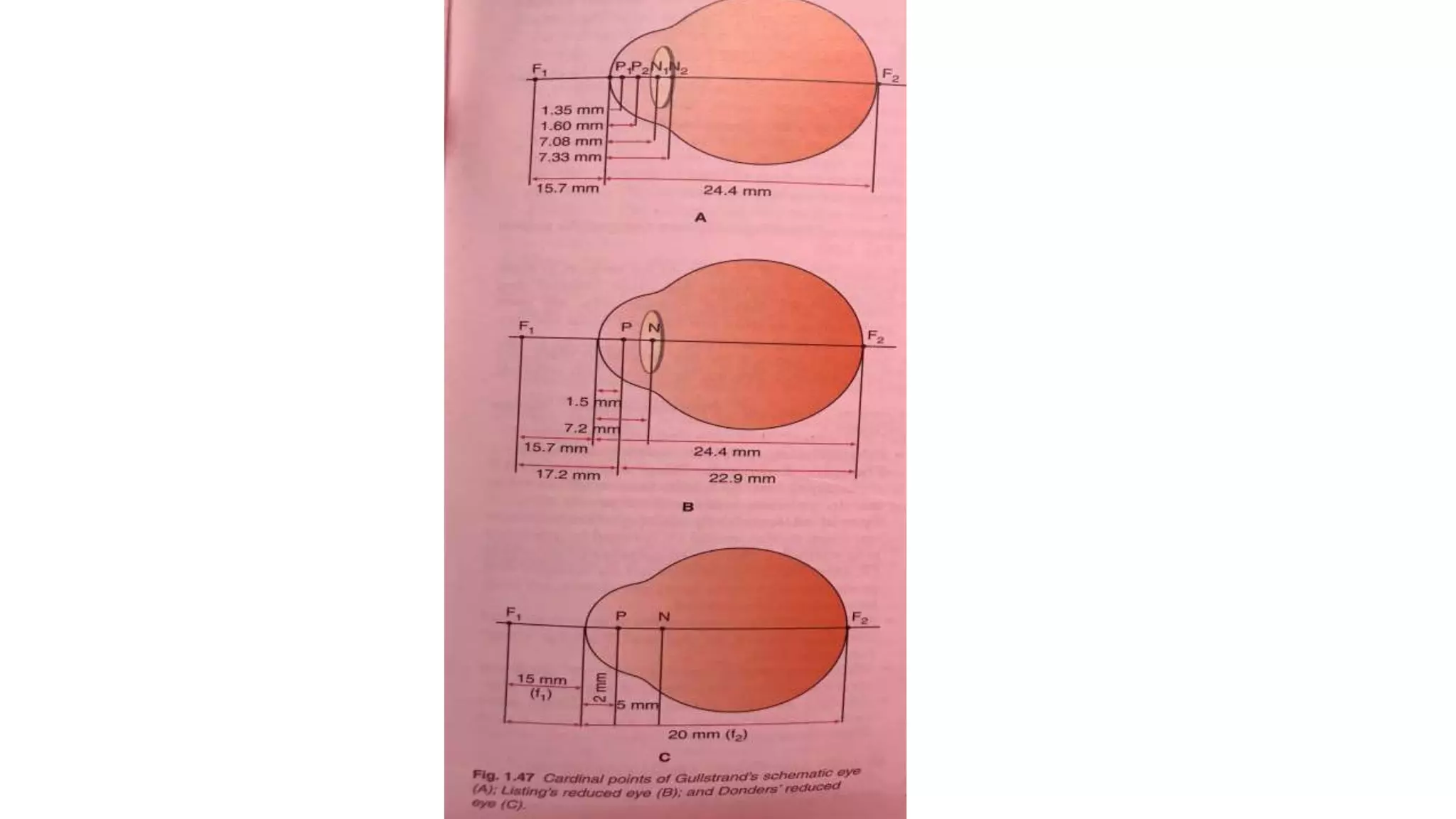 The Schematic, Reduced Eye, Axes and Angle of the eye.pptx