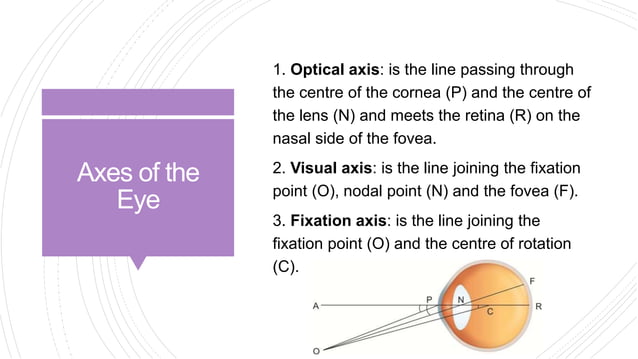The Schematic, Reduced Eye, Axes and Angle of the eye.pptx