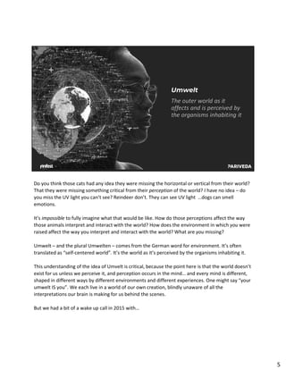 The Science Behind Changing a Mind | PDF