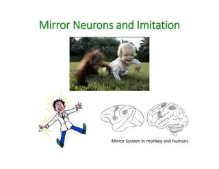 The Science Behind Empathy | PDF