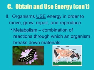 The science of biology blackboard | PPT