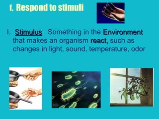 The science of biology blackboard | PPT