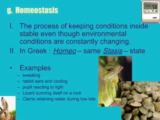 The science of biology blackboard | PPT