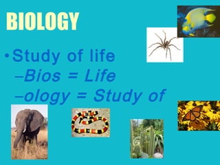 The science of biology blackboard | PPT