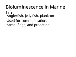 The_Science_of_Bioluminescence .pptx, Basics | PPTX