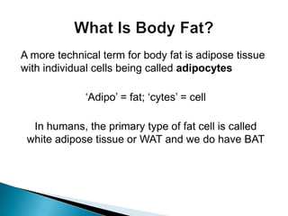 The Science of How We Burn Fat and Metabolism | PPTX