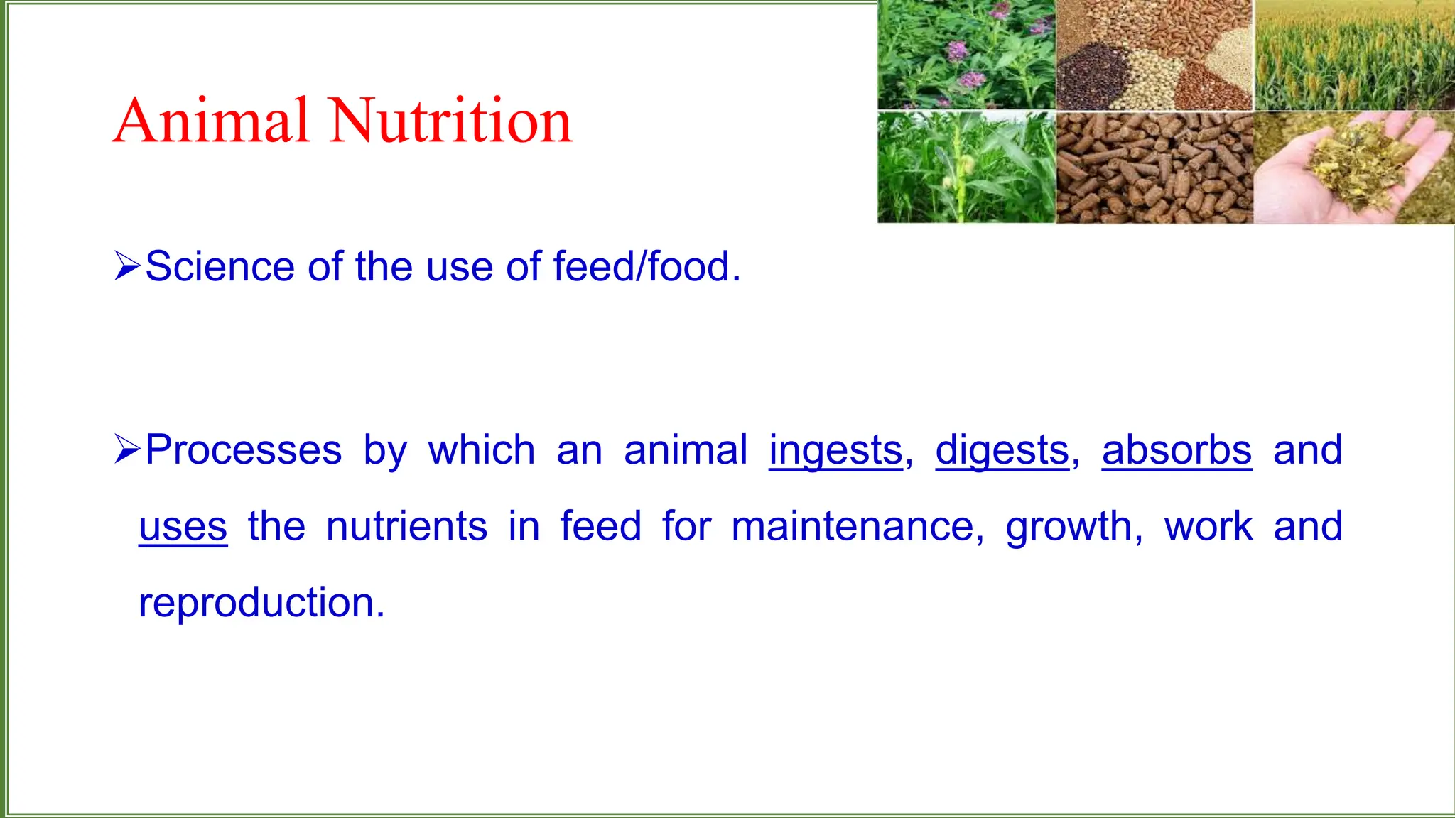 The Science of Nutrition and its Scope.pptx
