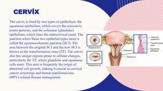 The Science of Obstetrics and Gynecology, Its.pptx