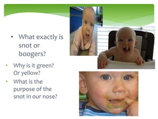 The science of snot | PPTX