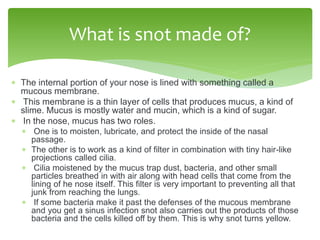 The science of snot | PPTX