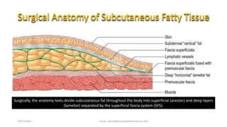 The Science of the Subcutneous Adipose Tissue.pptx
