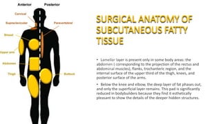 The Science of the Subcutneous Adipose Tissue.pptx