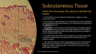 The Science of the Subcutneous Adipose Tissue.pptx