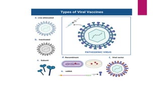 The science of Viral Vaccines - development process, production ...
