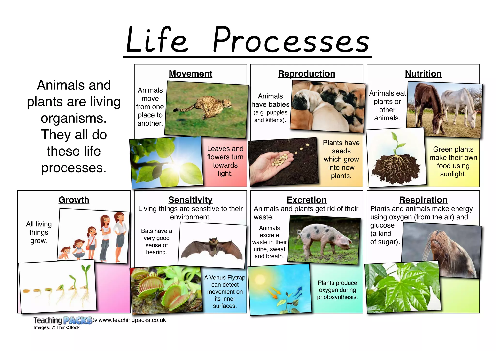 The Science Vocabulary Pack | PDF