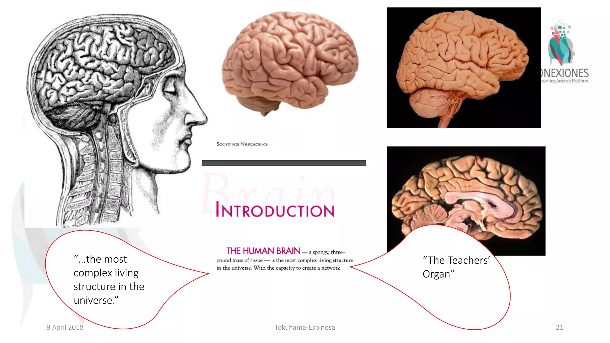 The Scientifically Substantiated Art of Teaching MBHE Principles and ...