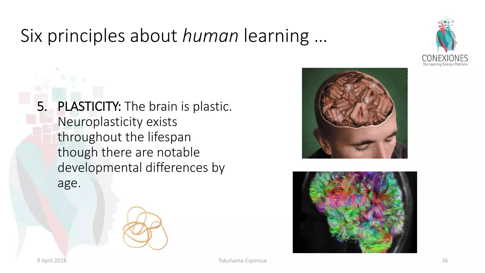 The Scientifically Substantiated Art of Teaching MBHE Principles and ...