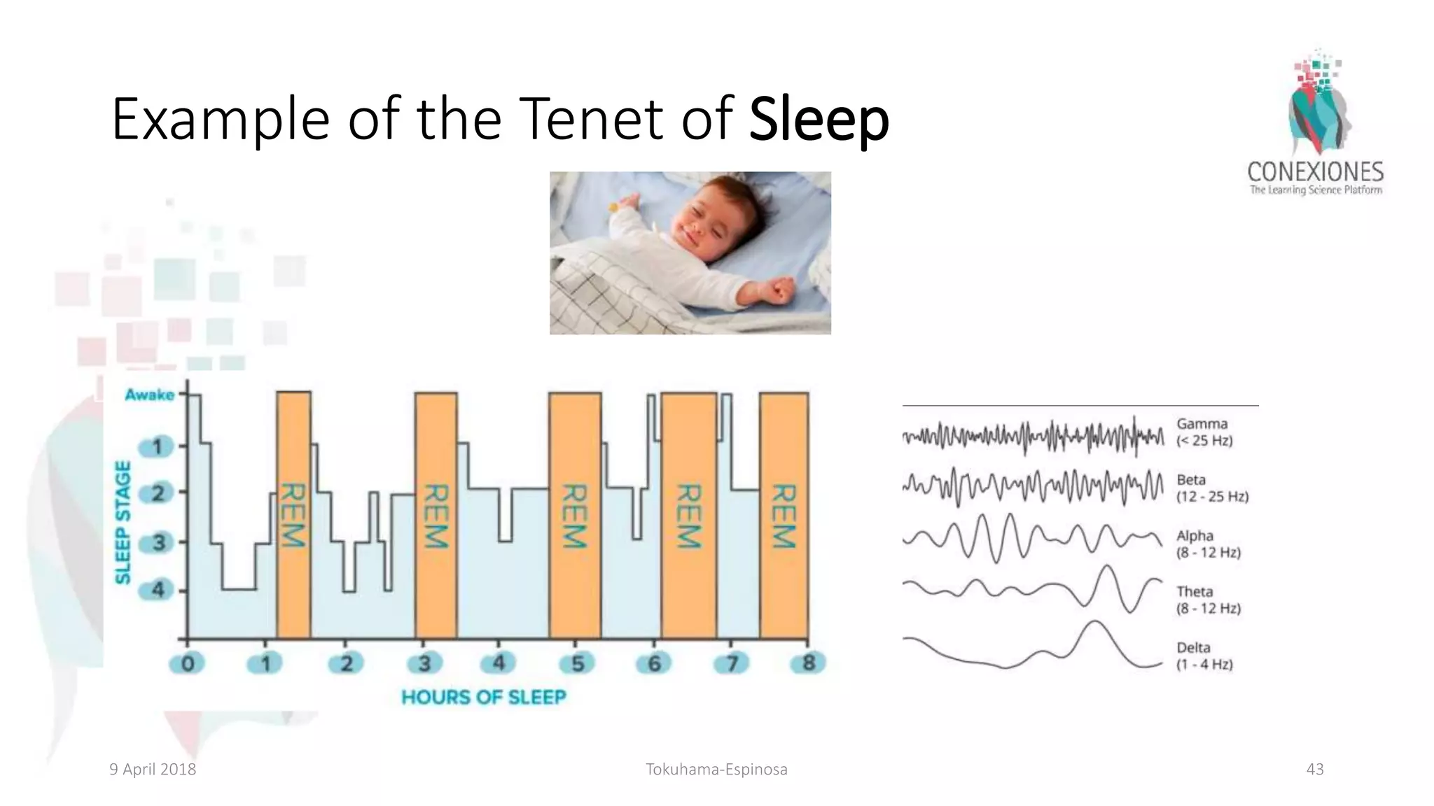 The Scientifically Substantiated Art of Teaching MBHE Principles and ...