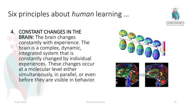 The Scientifically Substantiated Art of Teaching MBHE Principles and ...