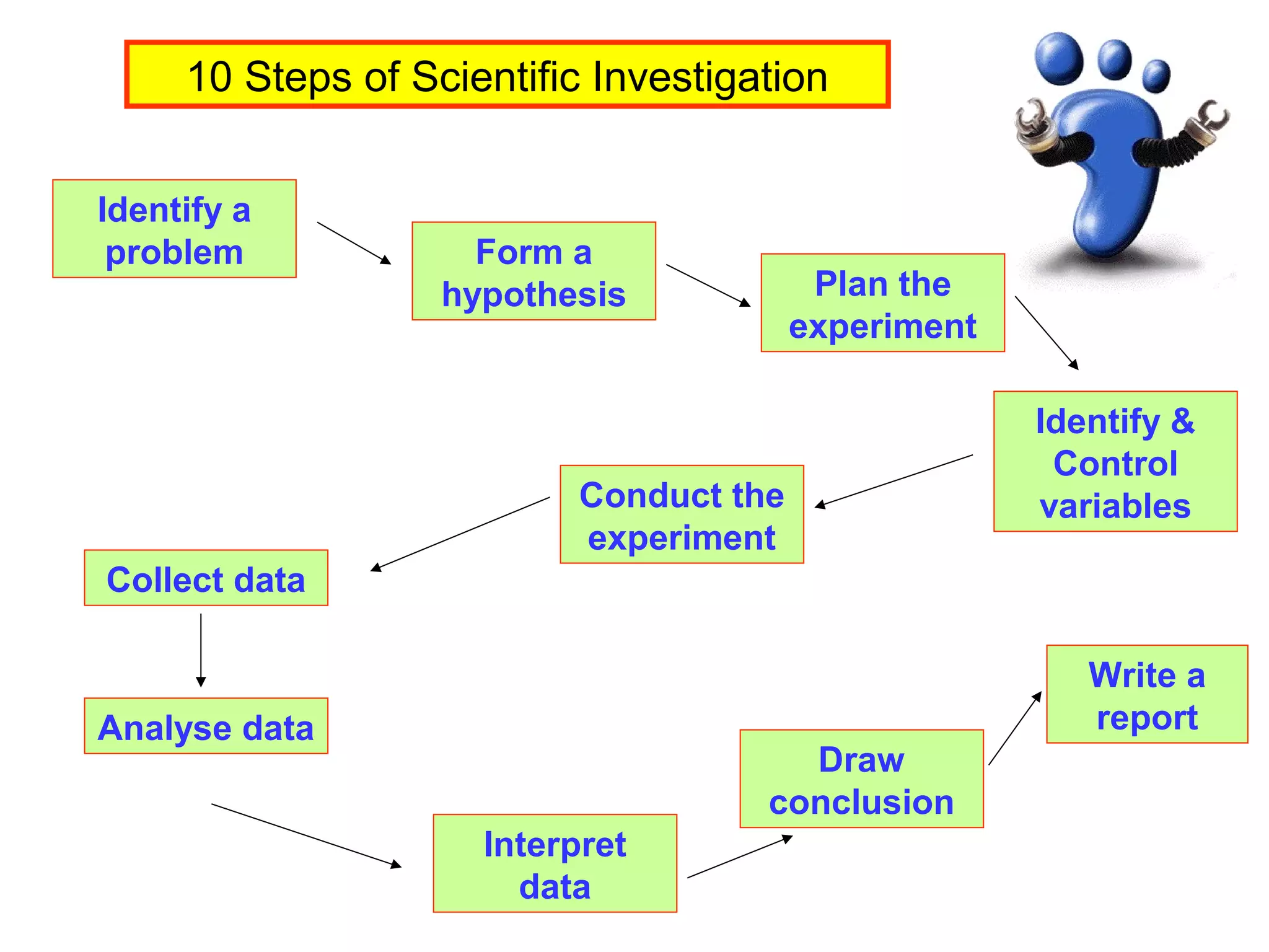 The scientificinvestigation | PPT