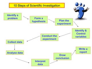The scientificinvestigation | PPT