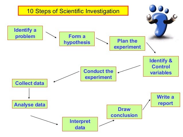 The Scientific Investigation