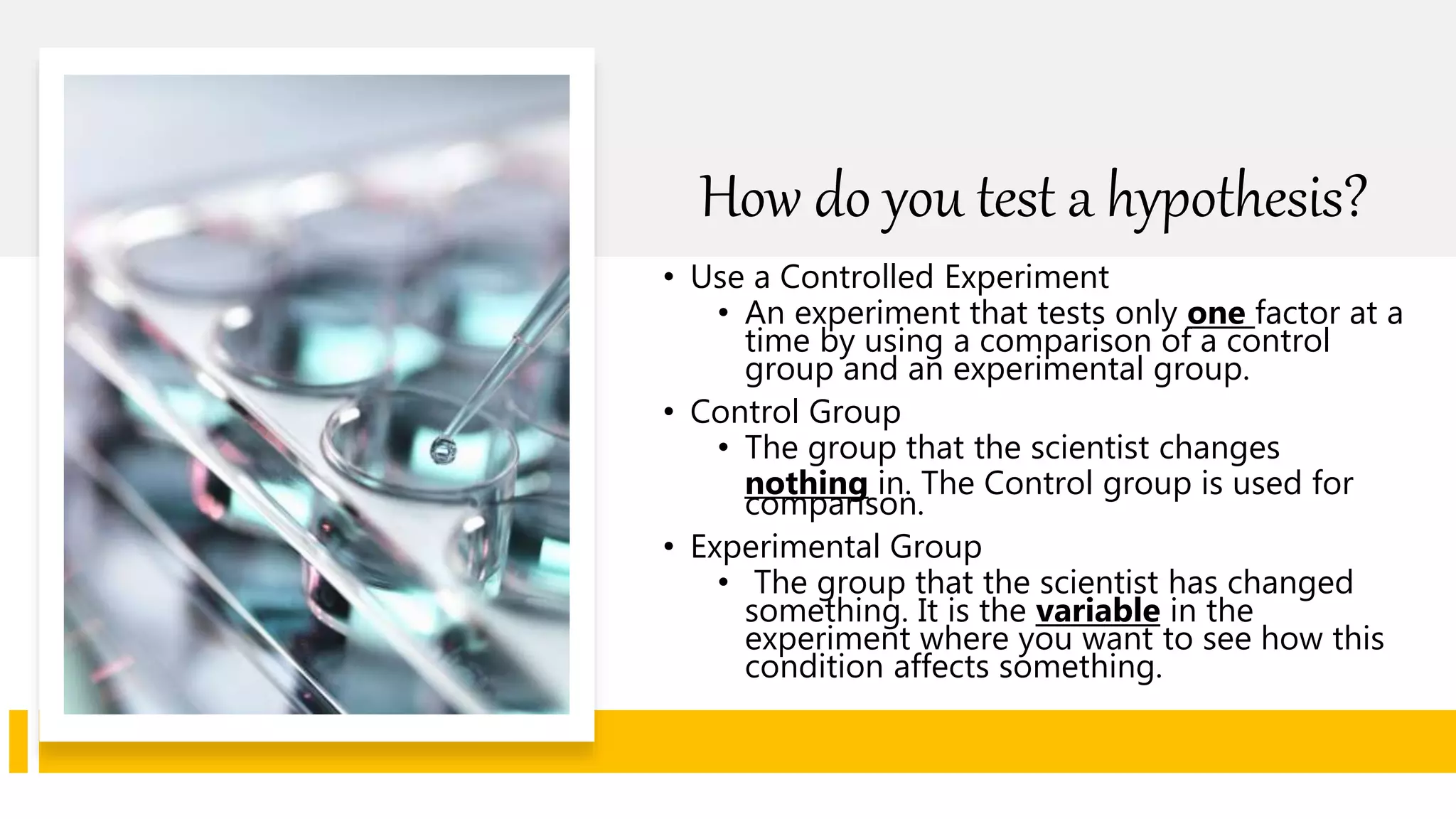 The scientific investigation | PPTX