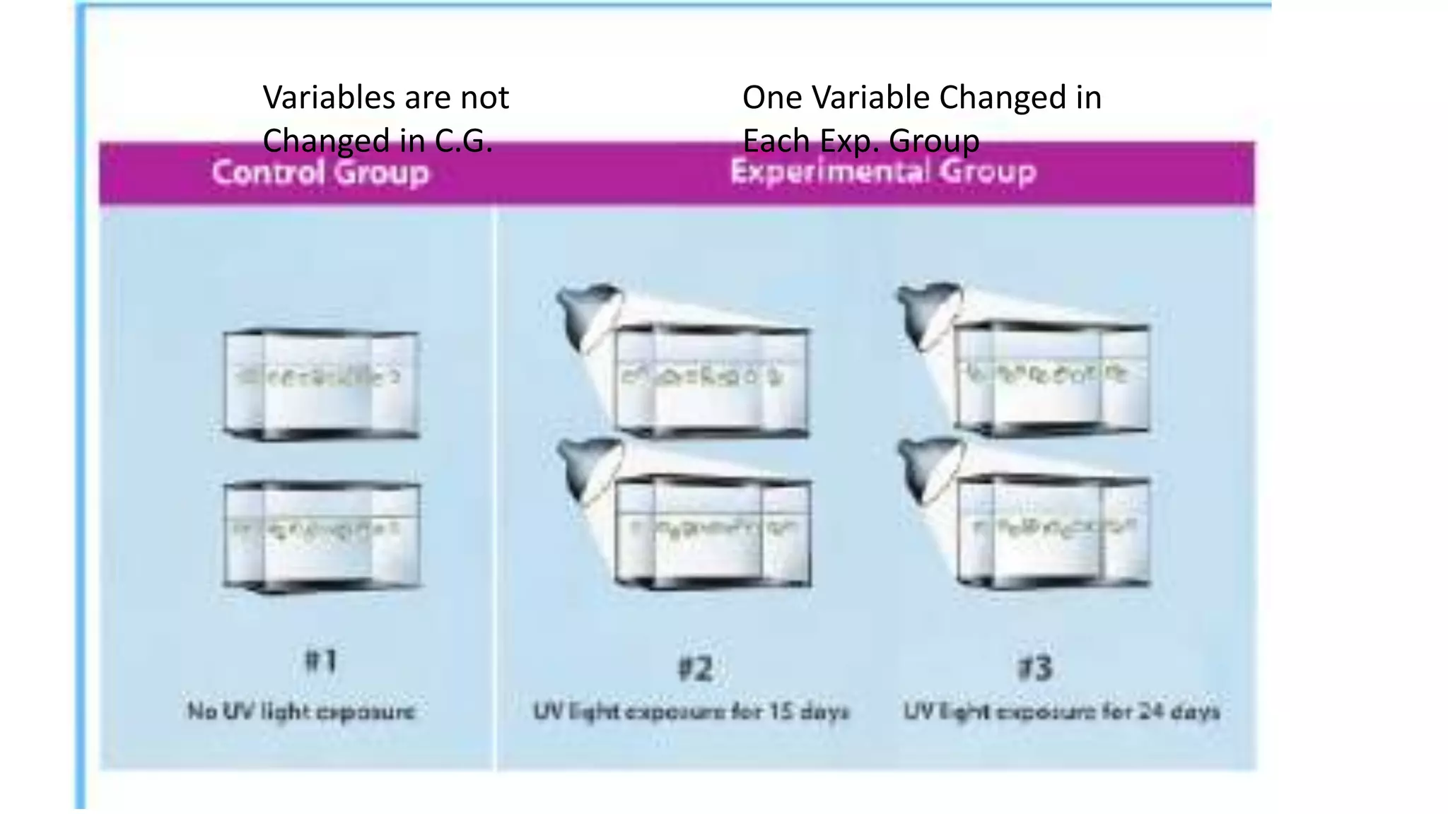 The scientific investigation | PPTX