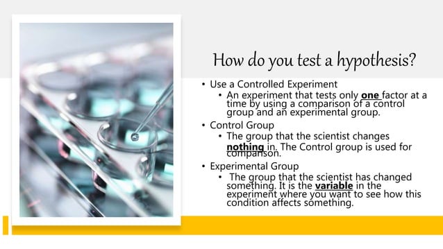 The scientific investigation | PPTX