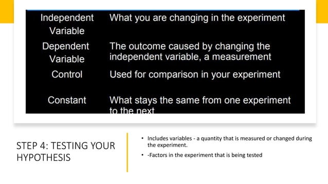 The scientific investigation | PPTX