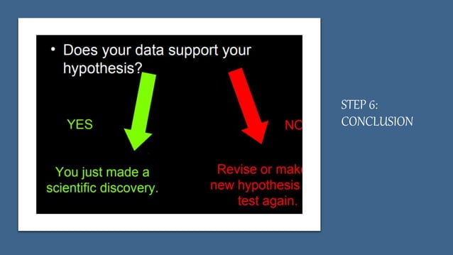 The scientific investigation | PPTX