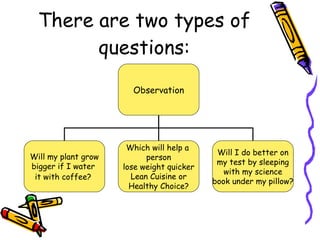 The Scientific Method | PPT