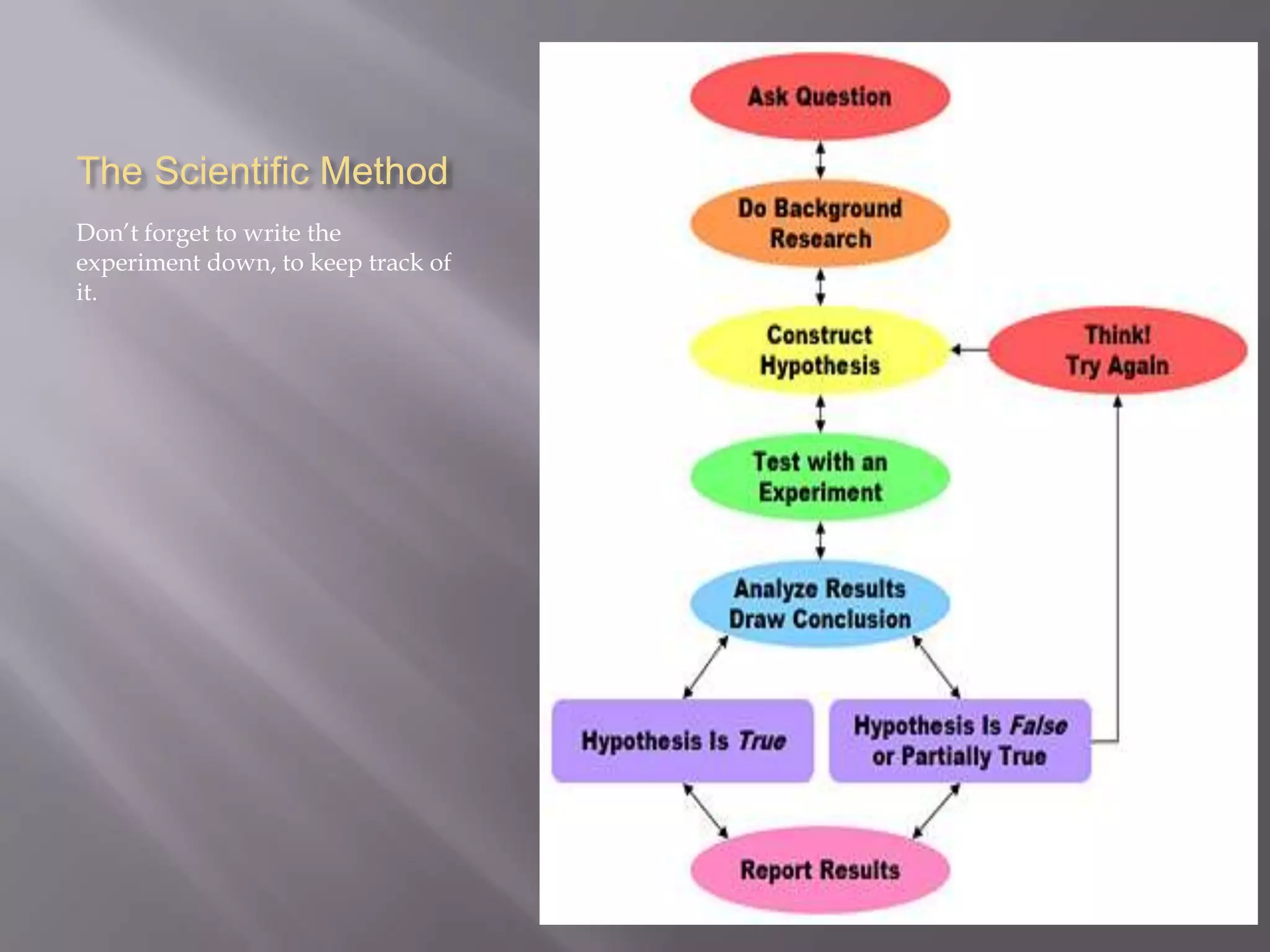 The scientific method | PPT