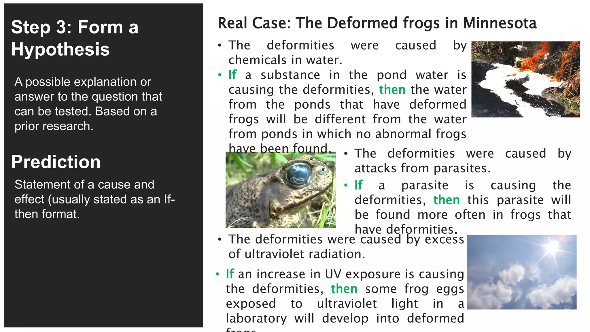 The scientific method | PPTX