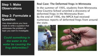 The scientific method | PPTX