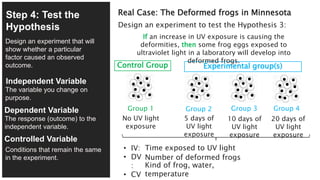 The scientific method | PPTX
