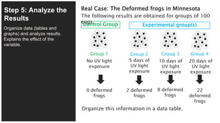 The scientific method | PPTX